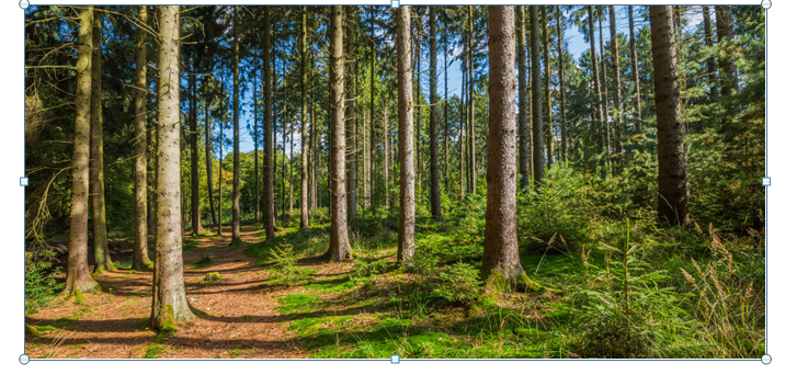 Oddział 9-godzinny 5,6-latki | ZSP Rytwiany